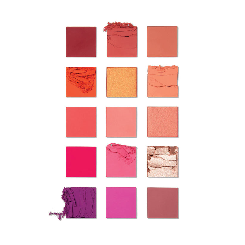MASTERCLASS PRO CHEEK PALETTE X15 SHADES (MAGNETIC PANS) – Blend Bunny ...